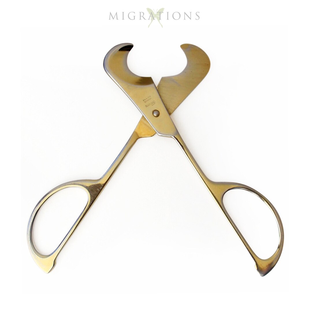 Mid Century Modern Solingen Cigar Cutter Stainless Made in Germany - Etsy