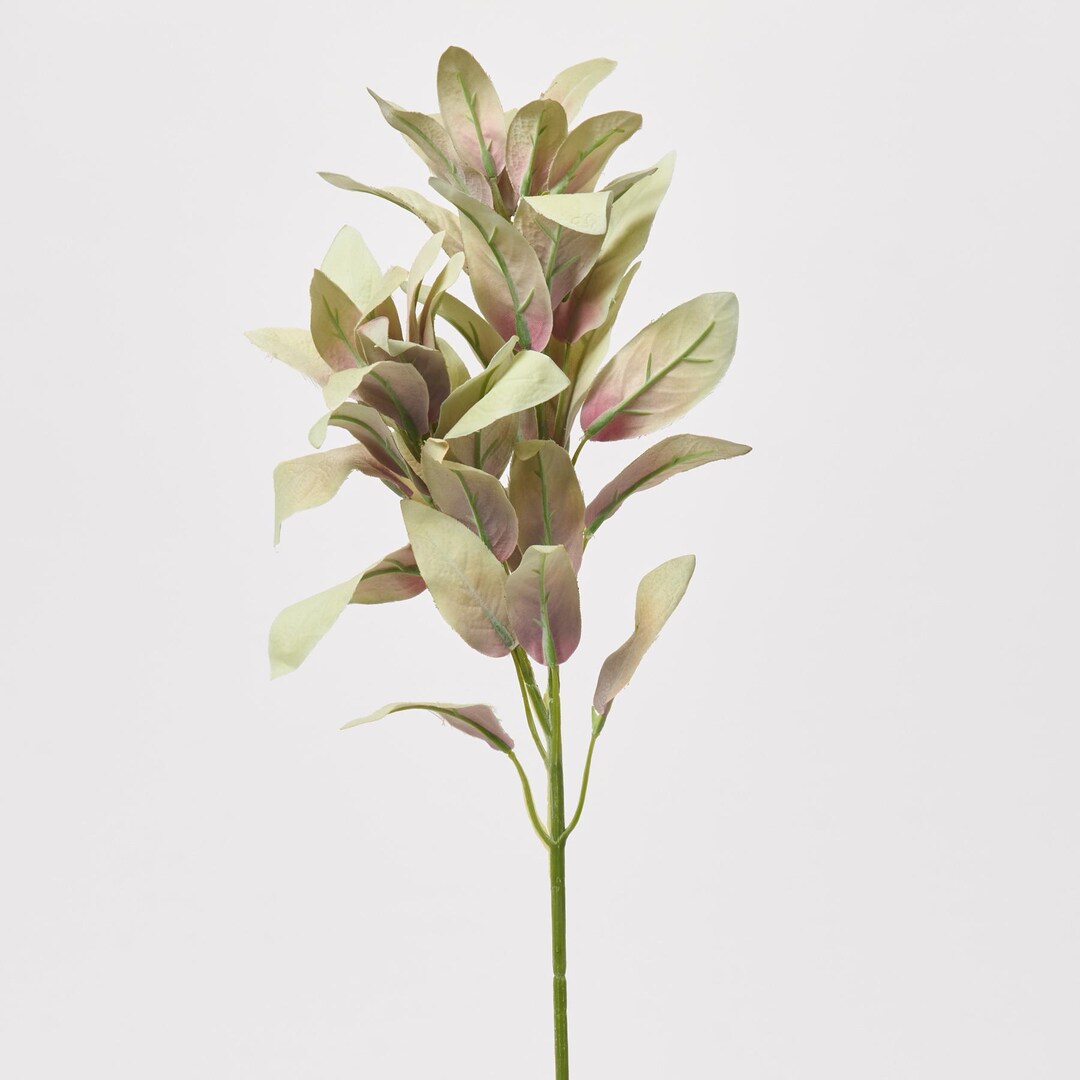 Green & Pink Frayed Salvia Leaf Stem All Seasons Faux Greenery Spray ...