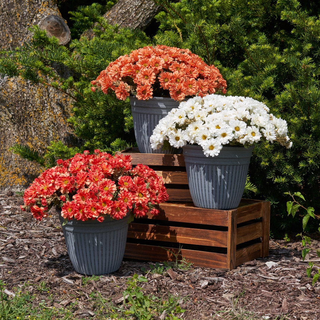 Faux Zinnia Mum Bush Outdoor Urn Filler Fall Arrangement - Available in ...
