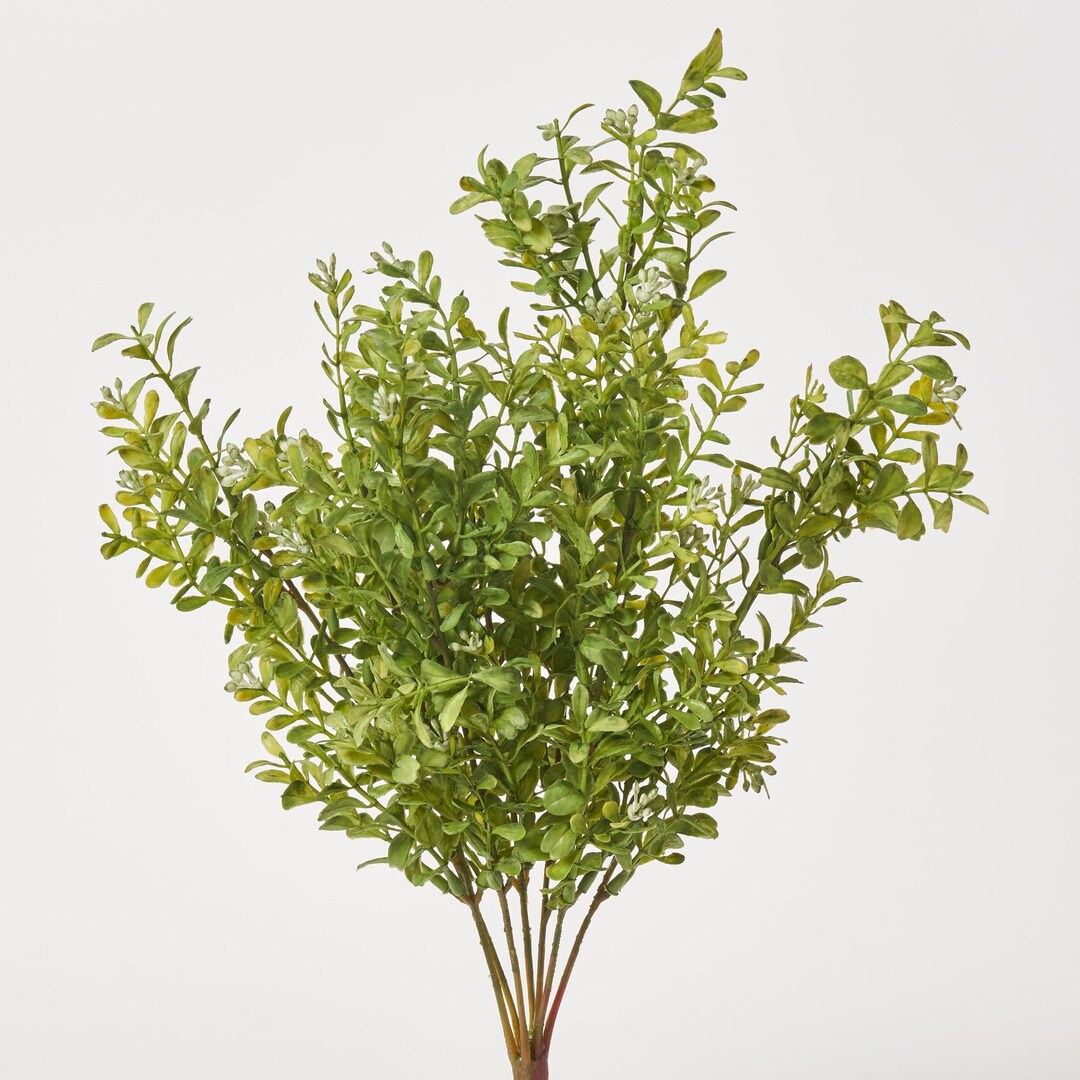 Flowering Moss Green Boxwood Bush Faux Evergreen Shrub Spray - 17" - Etsy