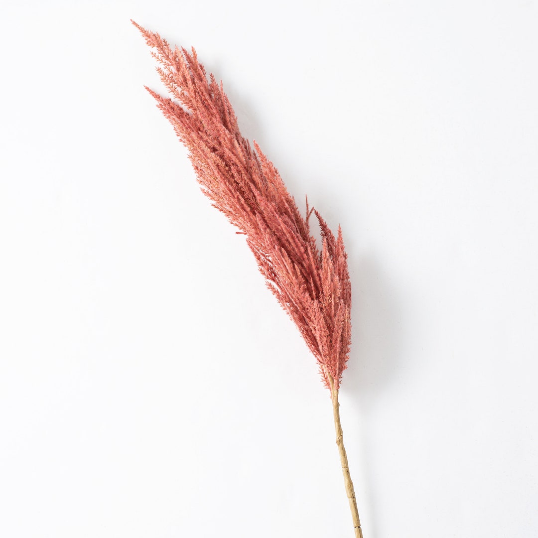 Mauve Faux Plume Pampas Grass 46" Single Branch Spray With Wired Stem ...