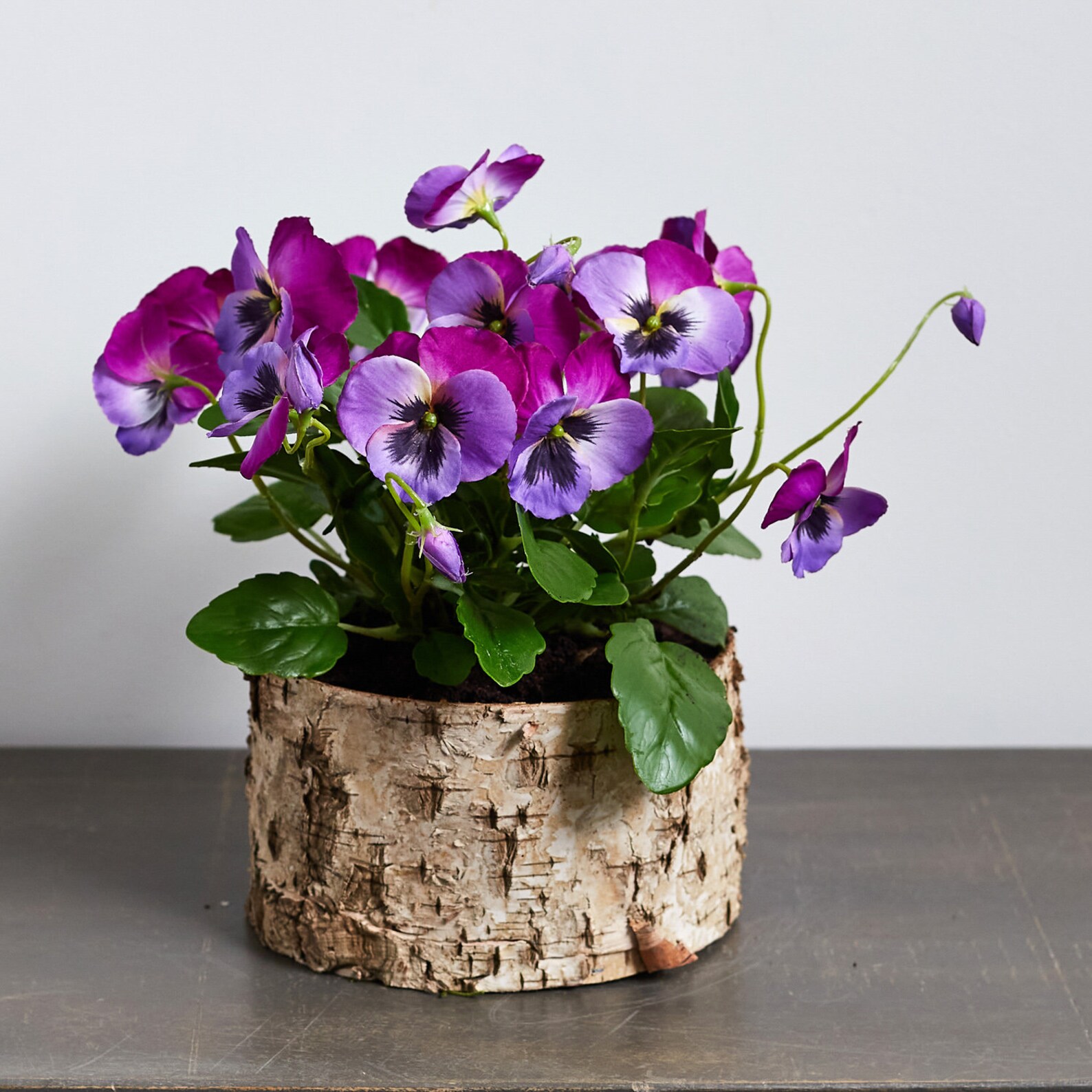 Violet Purple Two-tone Pansy Faux Plant Arrangement in Birch - Etsy