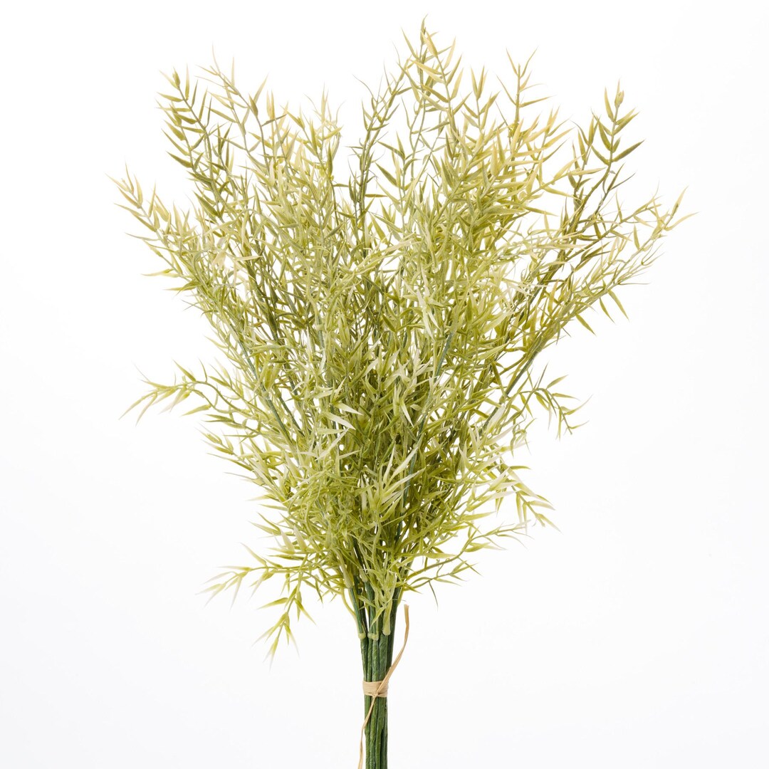 Yellow & Sage Green Common Juniper Bundle of 14 Stems - 26" - Etsy