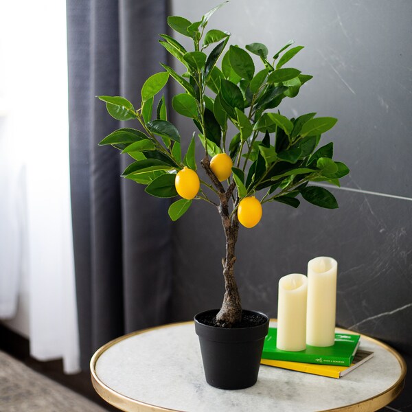 Lemon Tree - Etsy