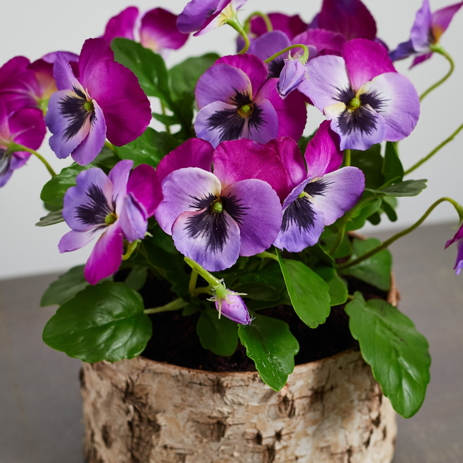 Violet Purple Two-tone Pansy Faux Plant Arrangement in Birch - Etsy