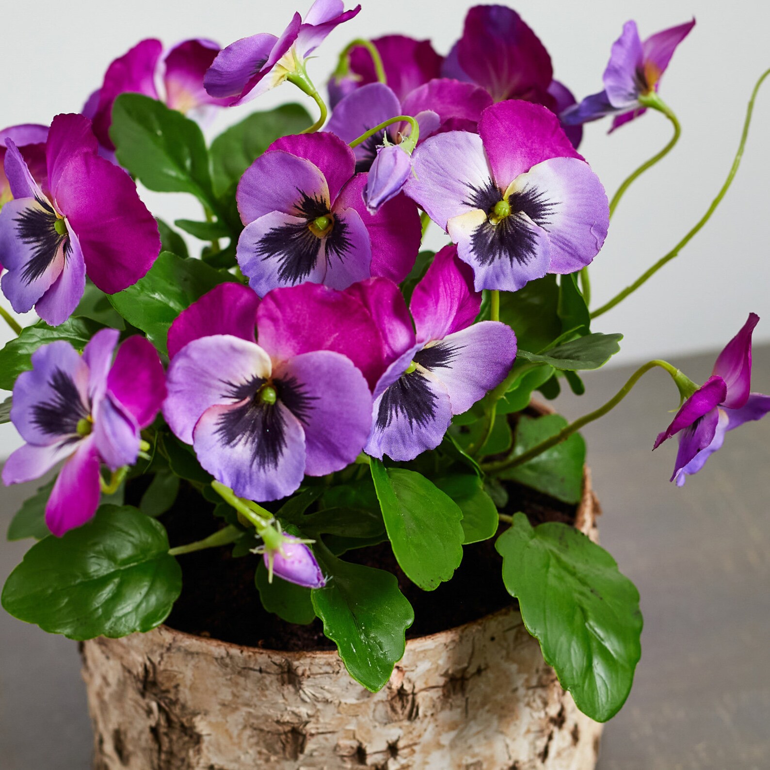 Violet Purple Two-tone Pansy Faux Plant Arrangement in Birch - Etsy