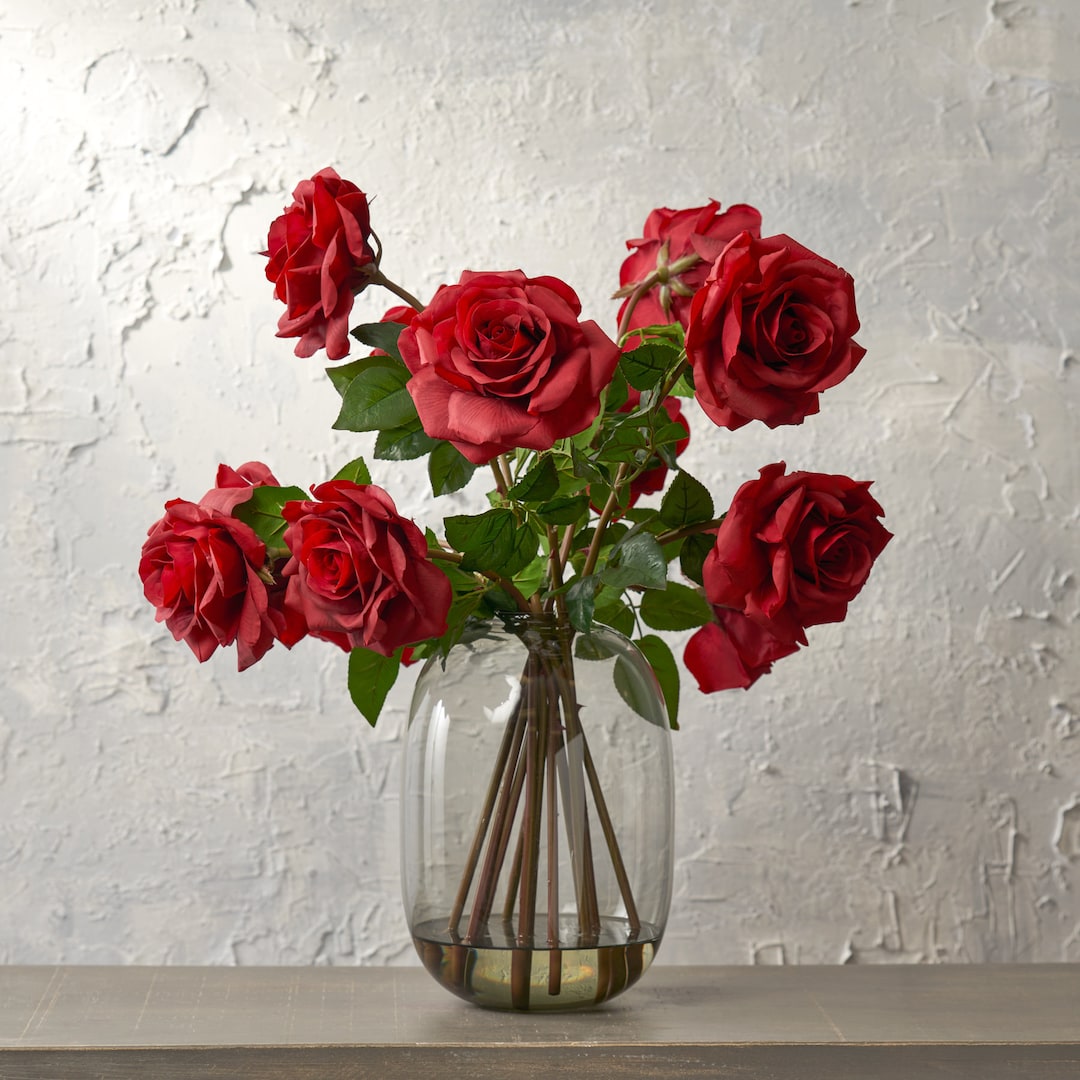 A Dozen Extra Long Stems Real Touch Red Rose in Large Smoked Glass Vase ...