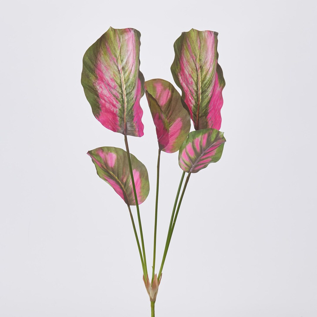 Natural Pink & Green Calathea Plant Spray Everyday Faux Houseplant Leaf ...