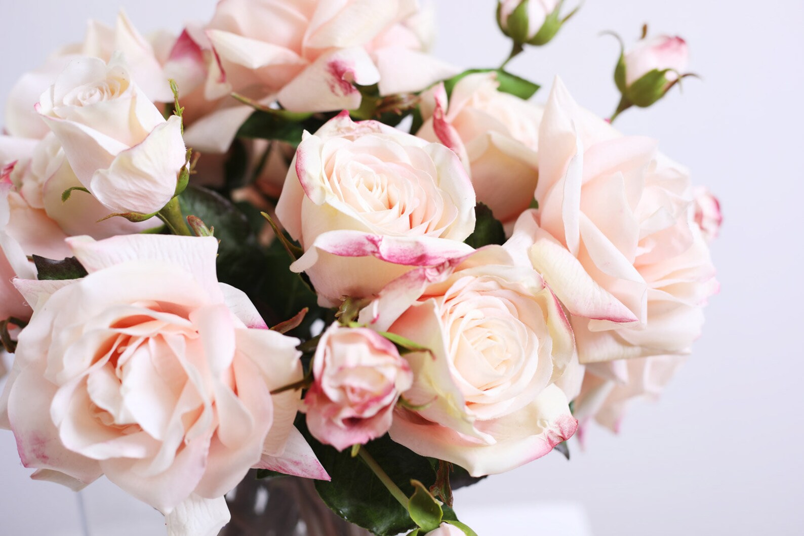 Blush Pink Real Touch Rose & Buds Floral Arrangement in Modern Glass ...