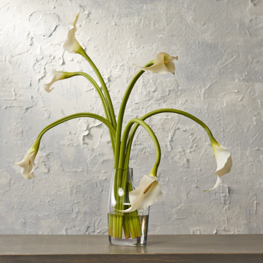 Modern Artistic Real Touch Calla Lily in Asymmetric Vase Everyday Water ...