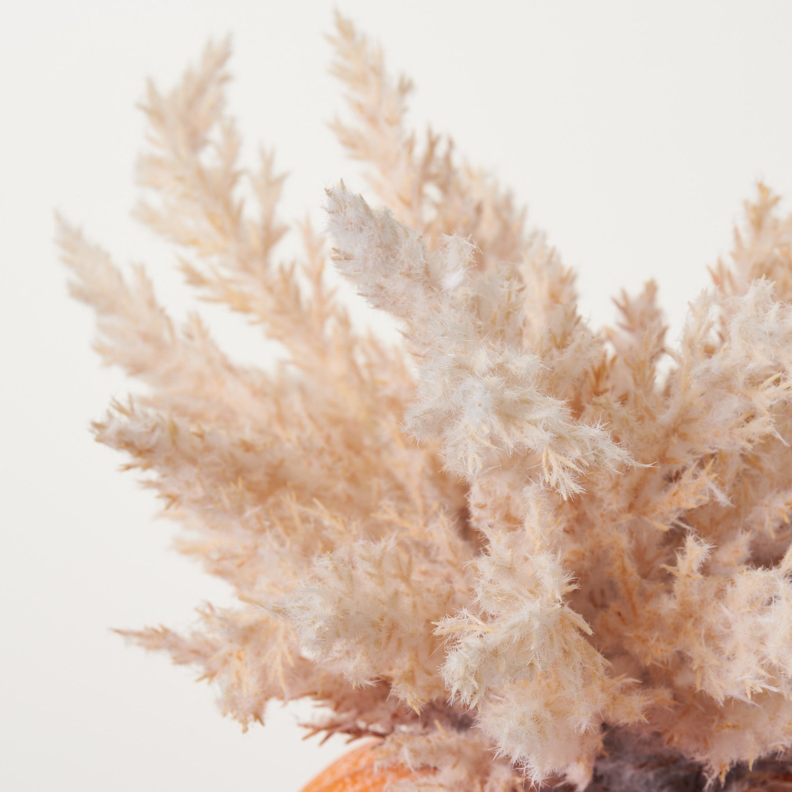 Pampas Grass Pumpkin Centerpiece on Birch Disc Fall Floral Decor ...