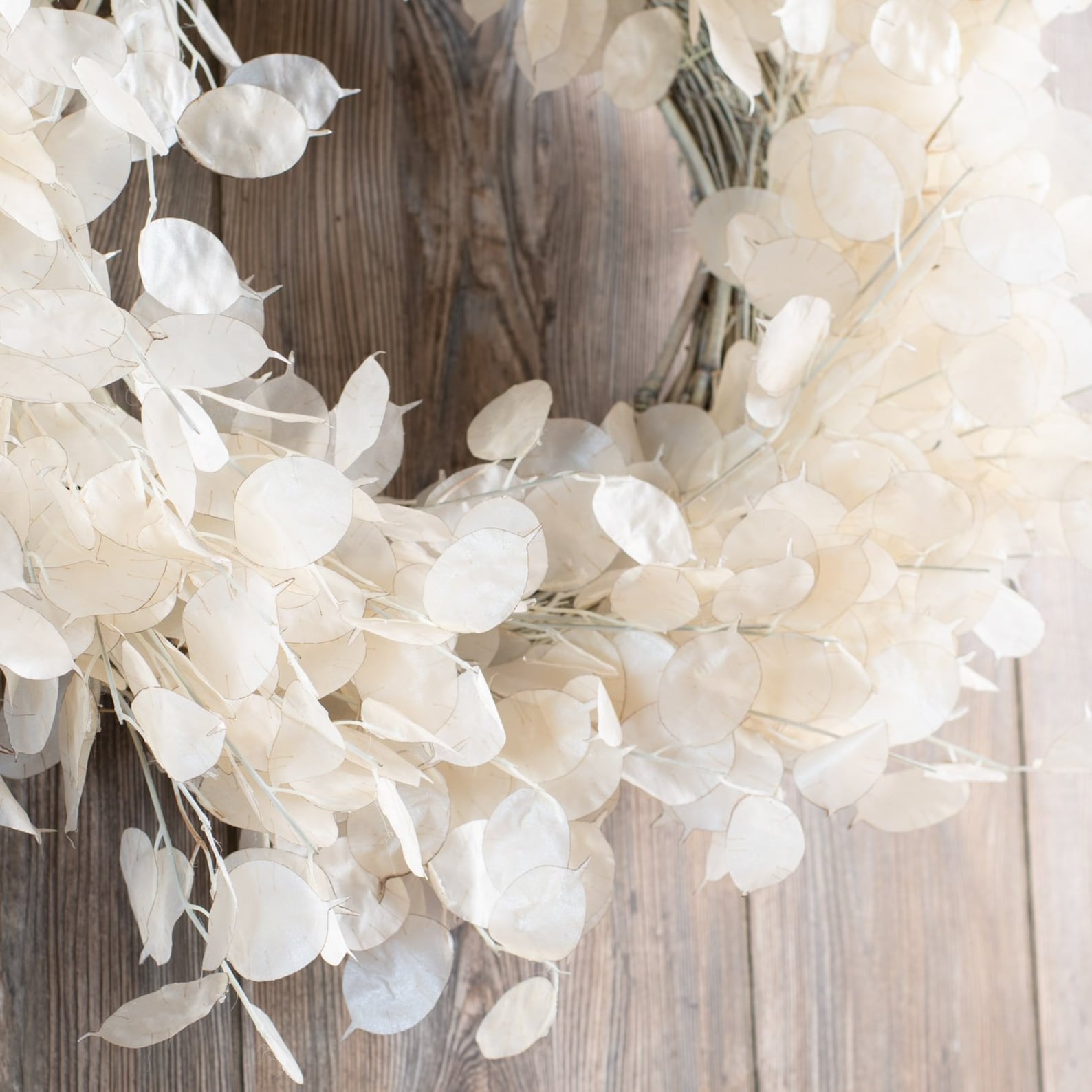 Dried Look Translucent Bleached Lunaria All Seasons Wreath - Etsy