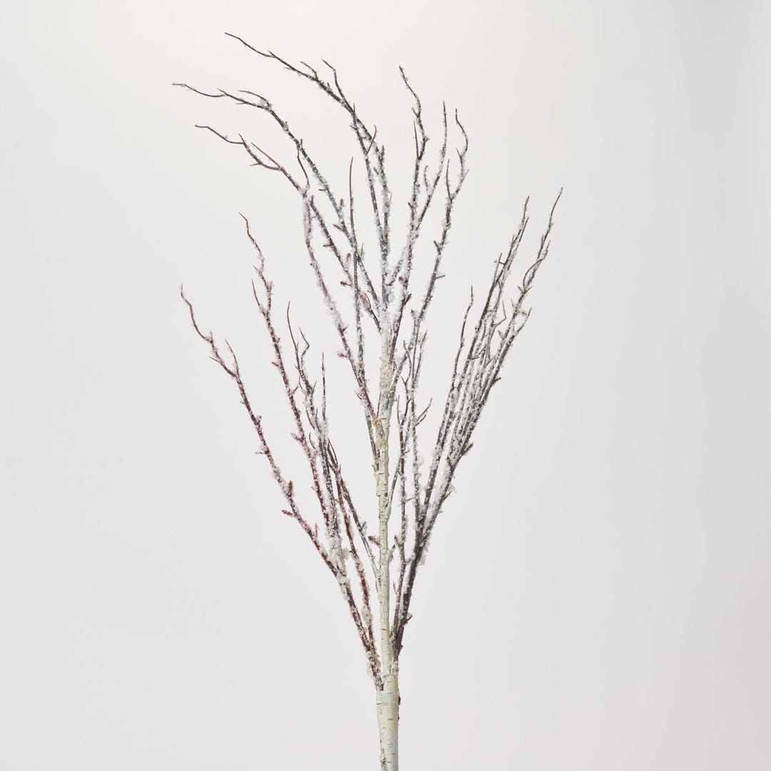Snow Flocked Birch Tree Branch Twig Spray - 38" - Etsy
