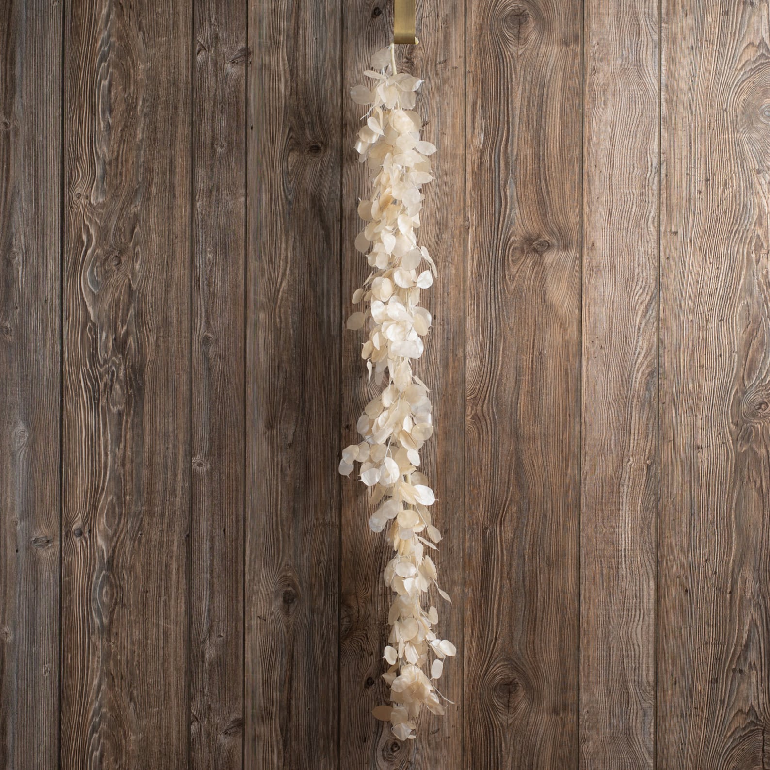 Dried Look Translucent Bleached Lunaria All Seasons Garland - Multiple ...