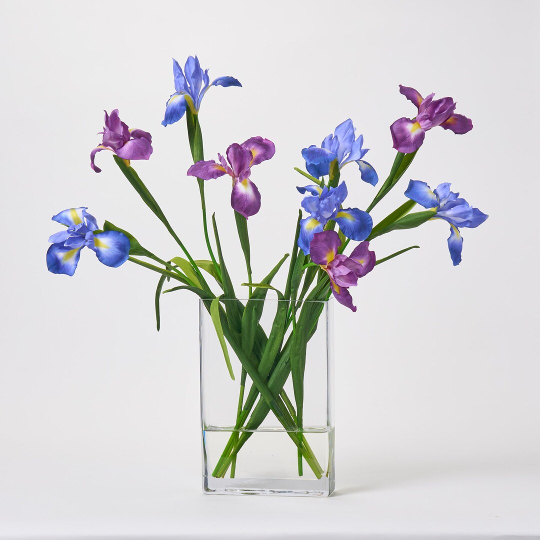 Periwinkle Blue & Purple Bearded Iris Stems in Square Cut Glass Vase ...
