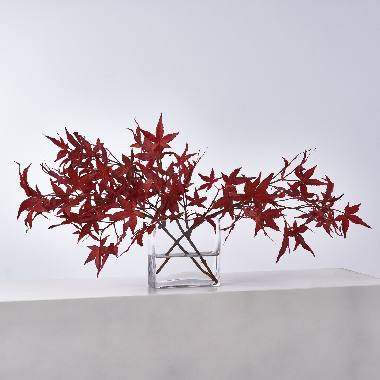Lifelike Red Japanese Maple Branches in Modern Flat Rectangle Vase Fall ...