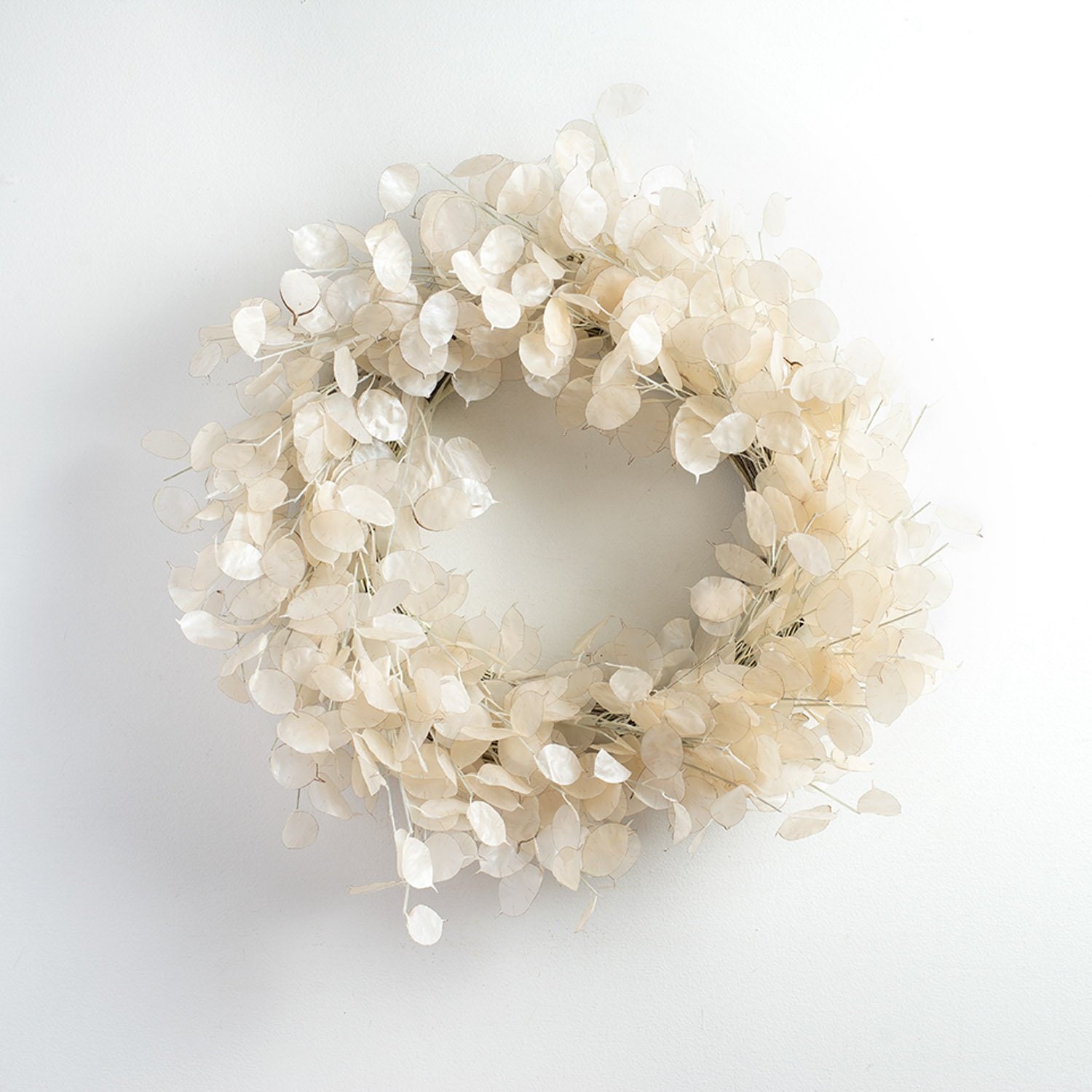 Dried Look Translucent Bleached Lunaria All Seasons Wreath - Etsy