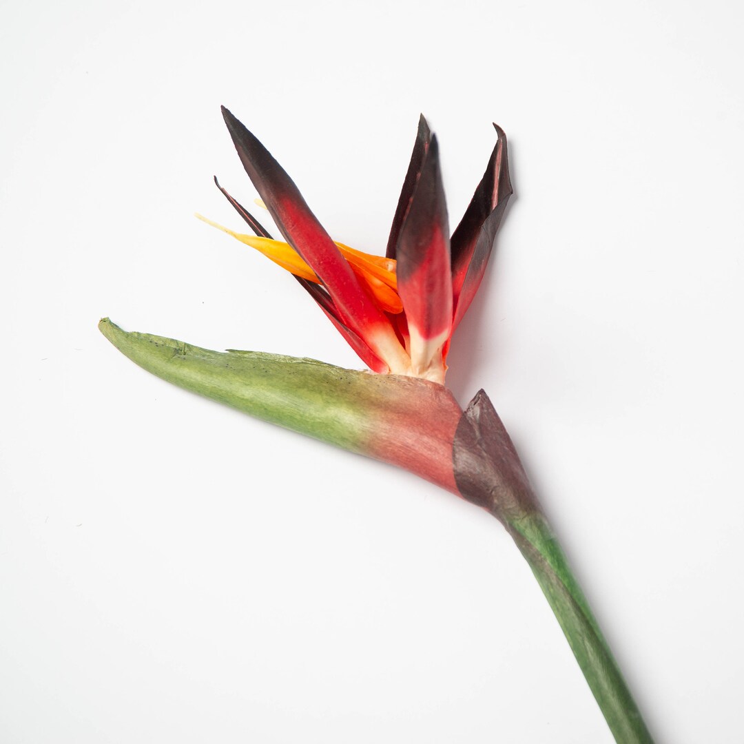 Tropical Red & Orange Large Bird of Paradise Faux Stem Spray - 31" - Etsy