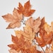 Cream or Brown Two-tone Maple Leaf Fall Foliage Branch Spray - 35" - Etsy