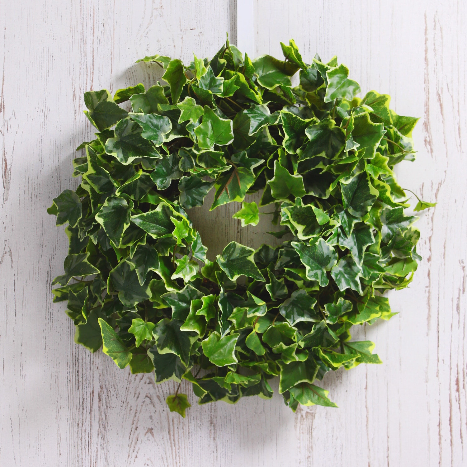 Variegated Real Touch English Ivy Mini Wreath, Candle Wreath, Tabletop ...