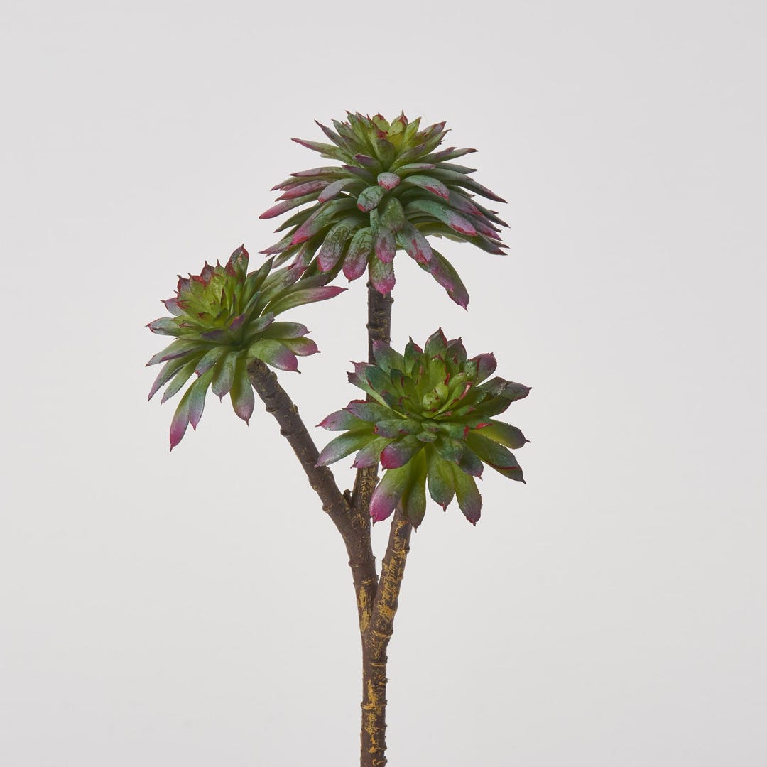 Sage Green & Pink Tip Daisy Succulent Plant Pick Spray - 10" - Etsy