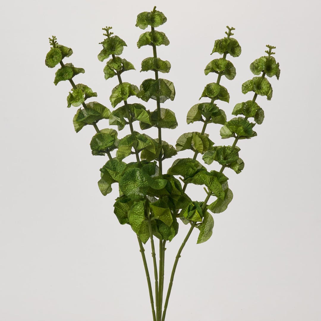 Seeding Lush Green Bells of Ireland Bush Faux Floral Spray - 23" - Etsy