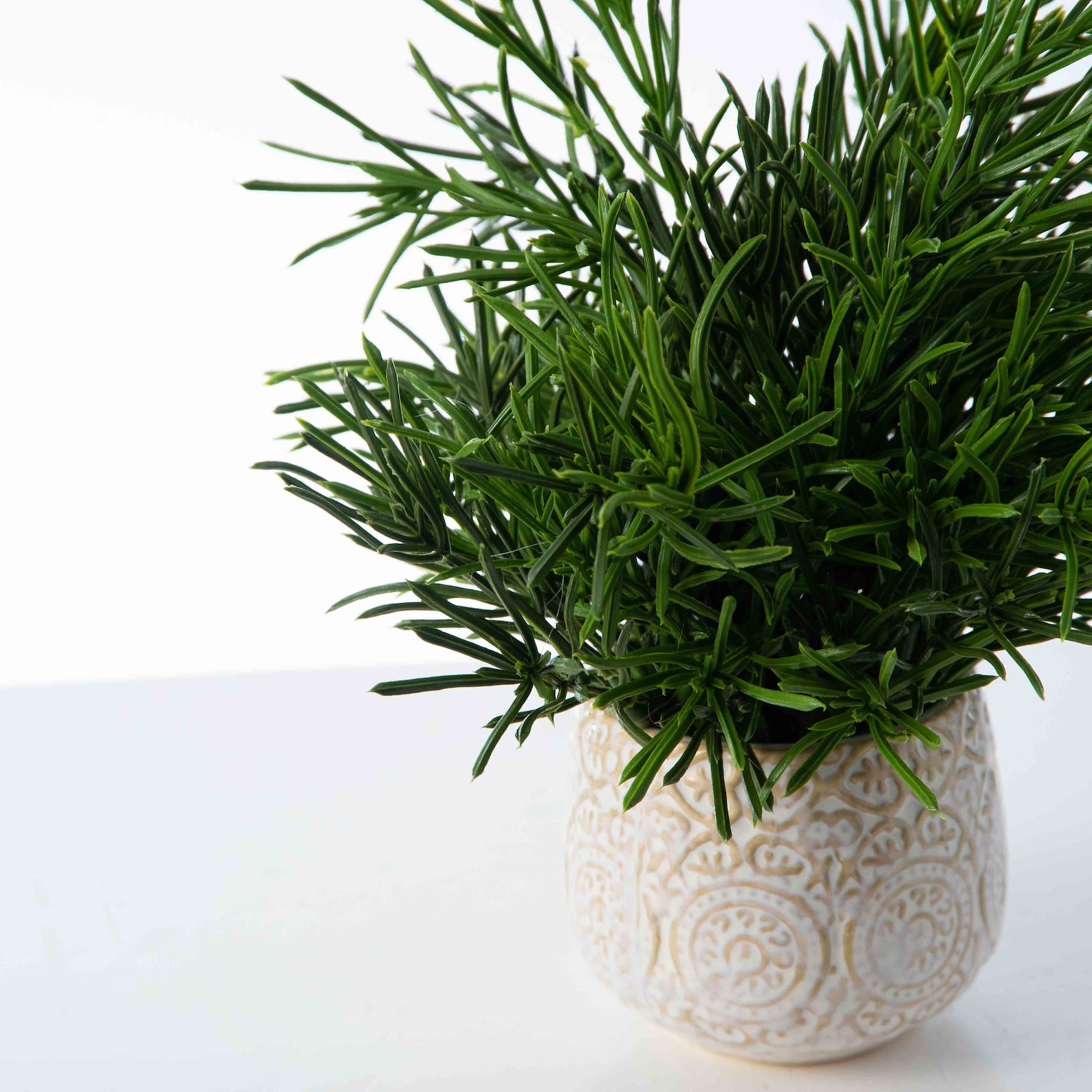 Herbs De Provence - French Lavender, Mint, & Rosemary Faux Plant ...