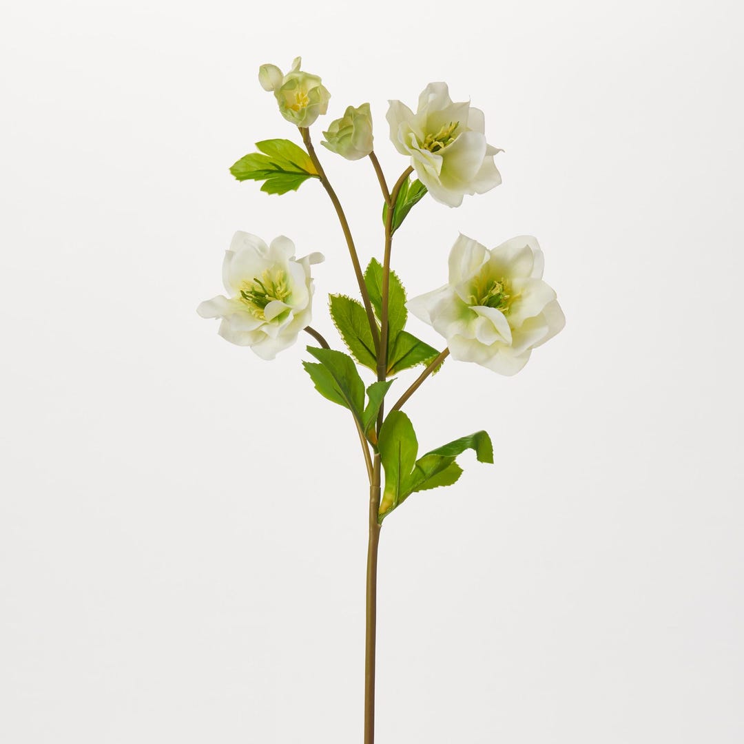 Real Touch Helleborus Stem 24" Single Real Touch Faux Floral Spray - Etsy