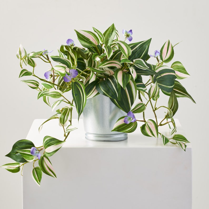 Flowering Wandering Dude Faux House Plant in Metal Tin - Etsy