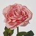 Real Touch Pink Rose Bloom Single Stem Faux Floral Spray - 14" - Etsy
