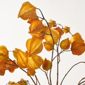 Chinese Lantern Tree Branch Pods in Jug Style Vase Available in Two ...