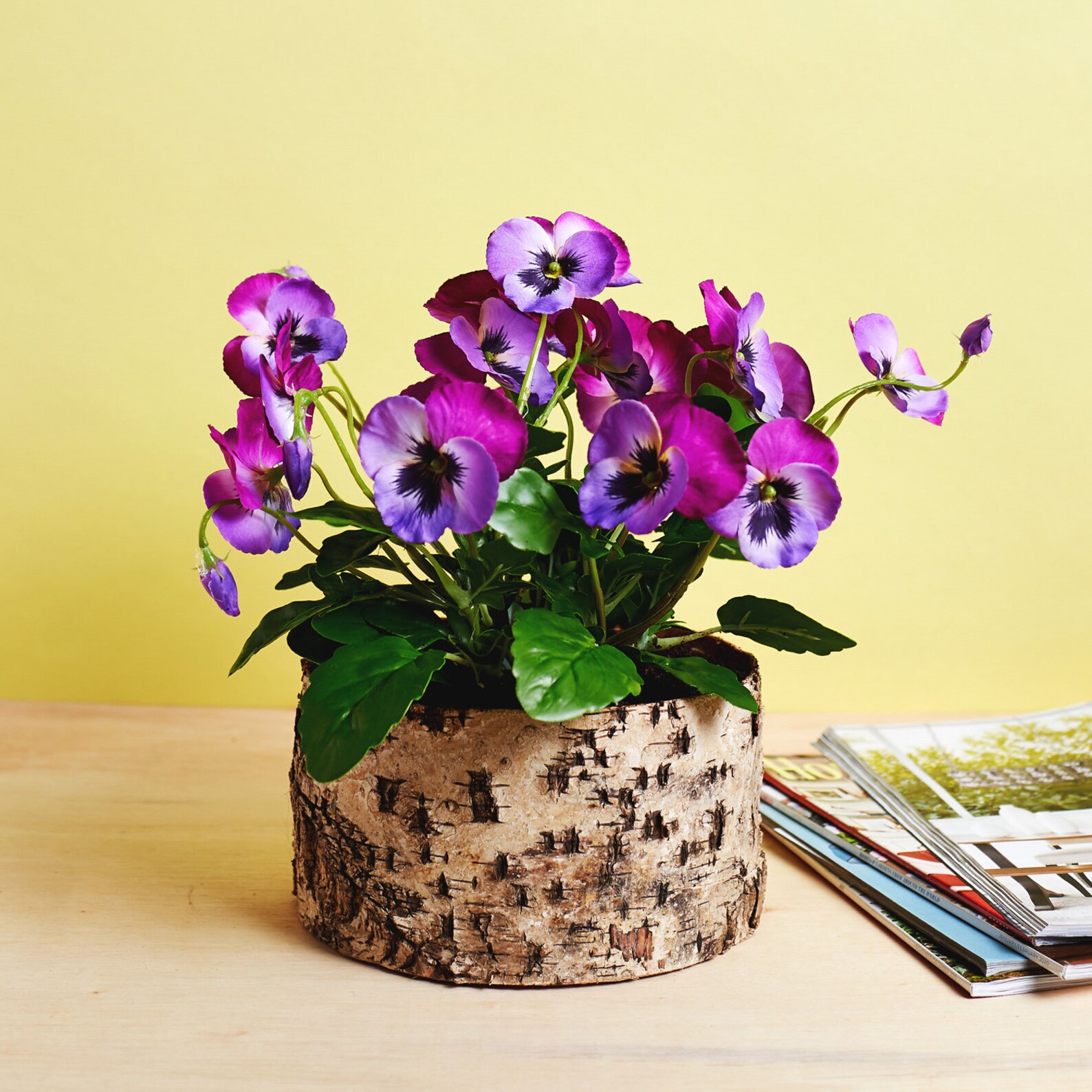 Violet Purple Two-tone Pansy Faux Plant Arrangement in Birch - Etsy