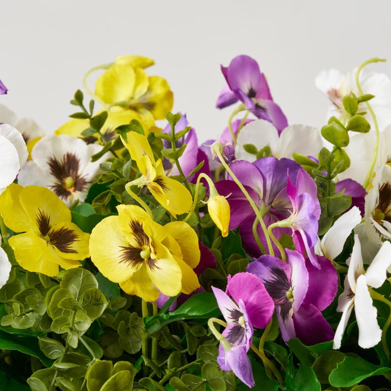 Handmade Pansy Window Box Arrangement, Mixed Yellow, White, Purple ...