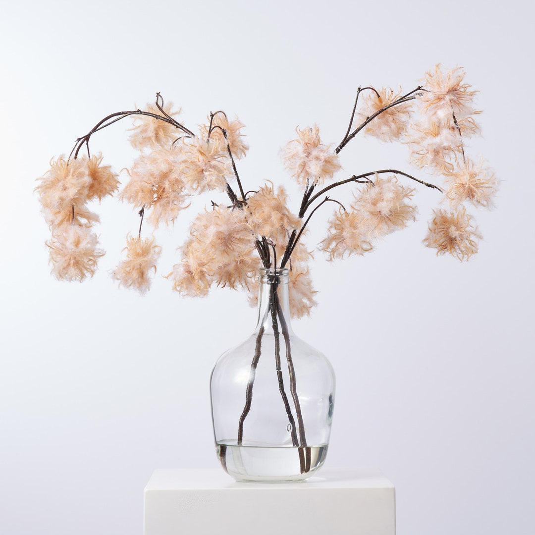 Dried Look Fuzzy Chestnut Seed Pod Branches in Jug Style Vase Fall ...