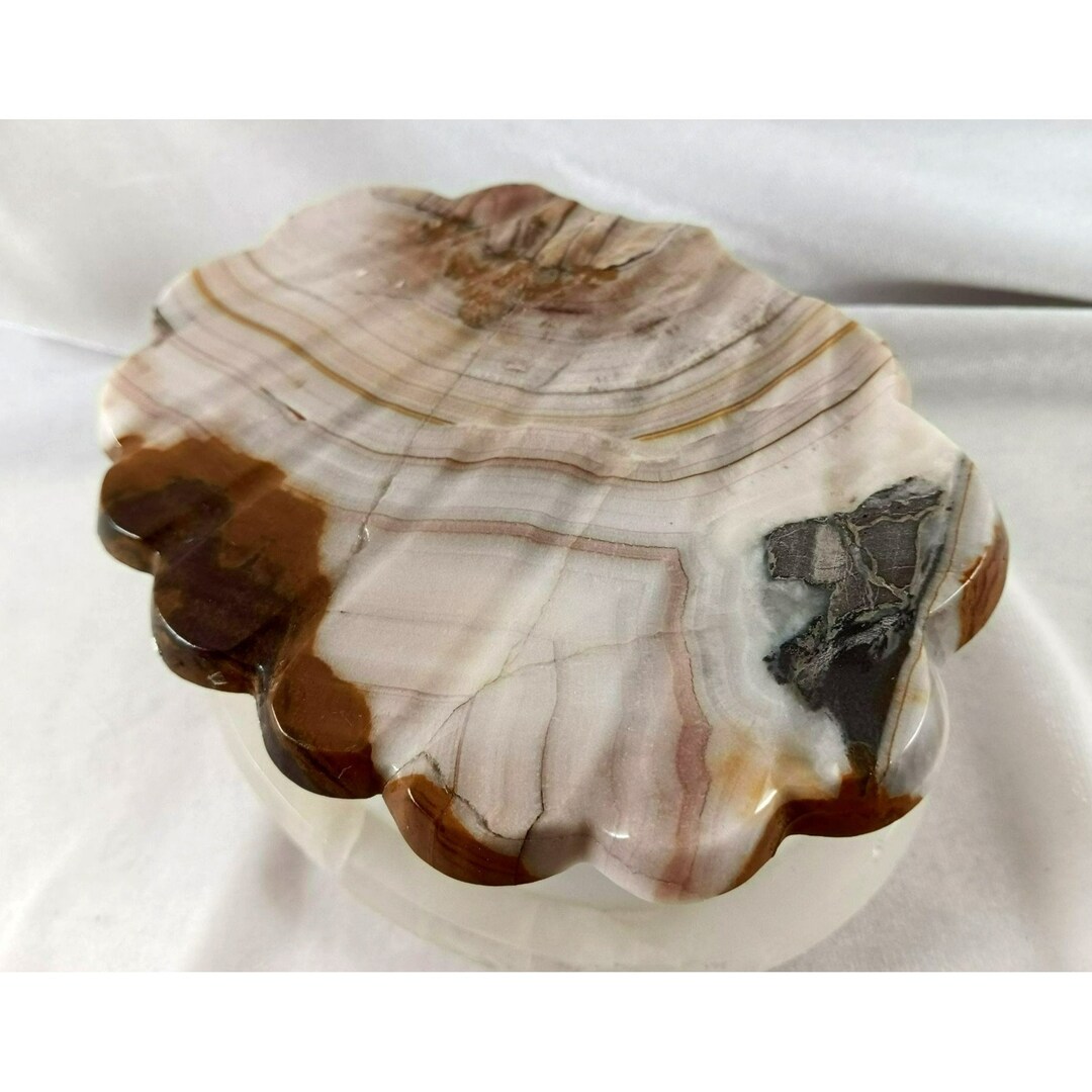 1940s Italian Onyx Marble Shell Shape Trinket Jewelry Box Footed - Etsy