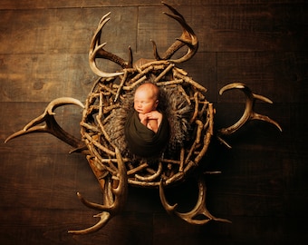 Newborn Digital Backdrop Deer Antlers Outdoor Hunting Outdoorsmen Pink ...