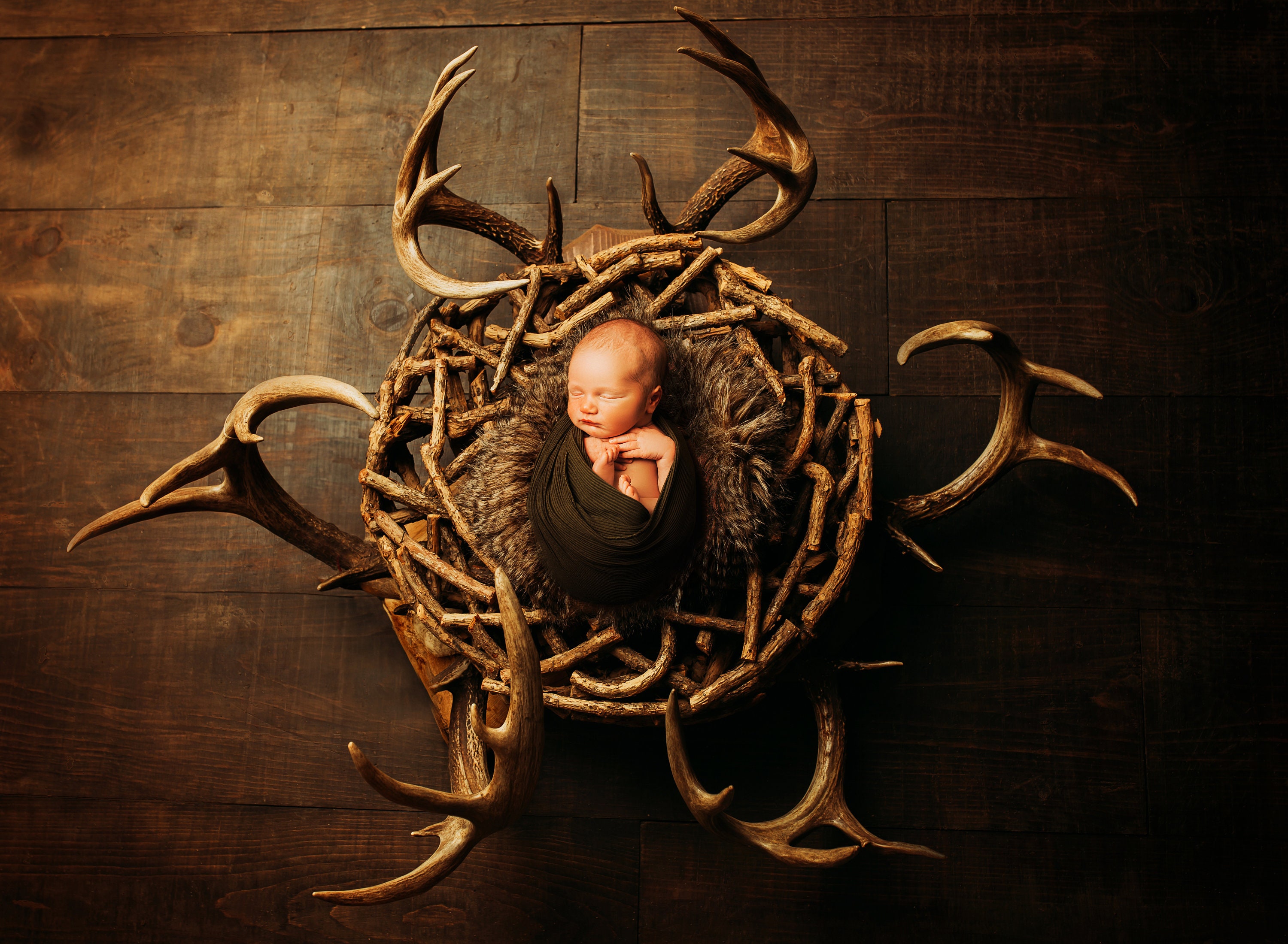 Newborn Digital Backdrop - Deer Hunting Antlers - Etsy