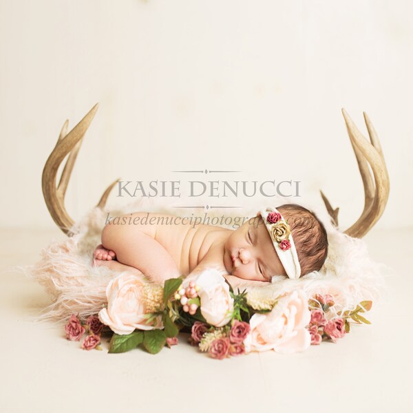 Hunting Newborn Digital Background - Etsy