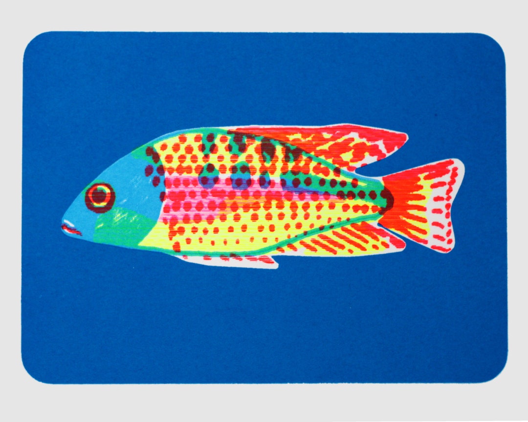 Fish Art, Colourful Fish Screen Print, Limited Edition Print, Fish Wall ...
