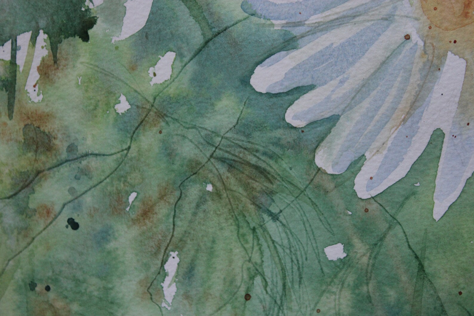 Daisy Watercolour Painting Watercolour of Garden Flowers - Etsy