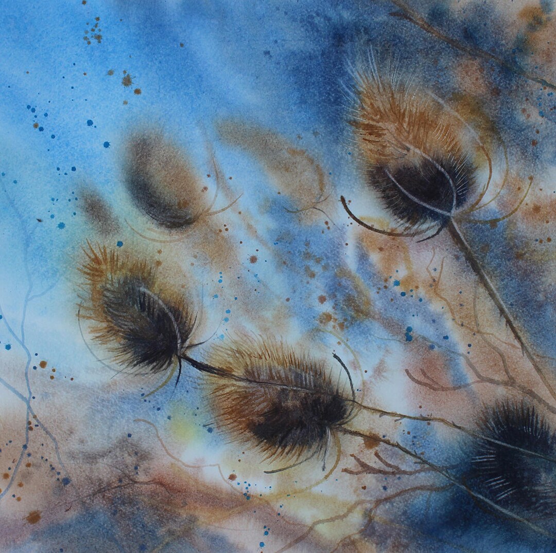 Original Watercolour of Teasels, Seed Head, Dipsacus, Teazel, Teazle ...