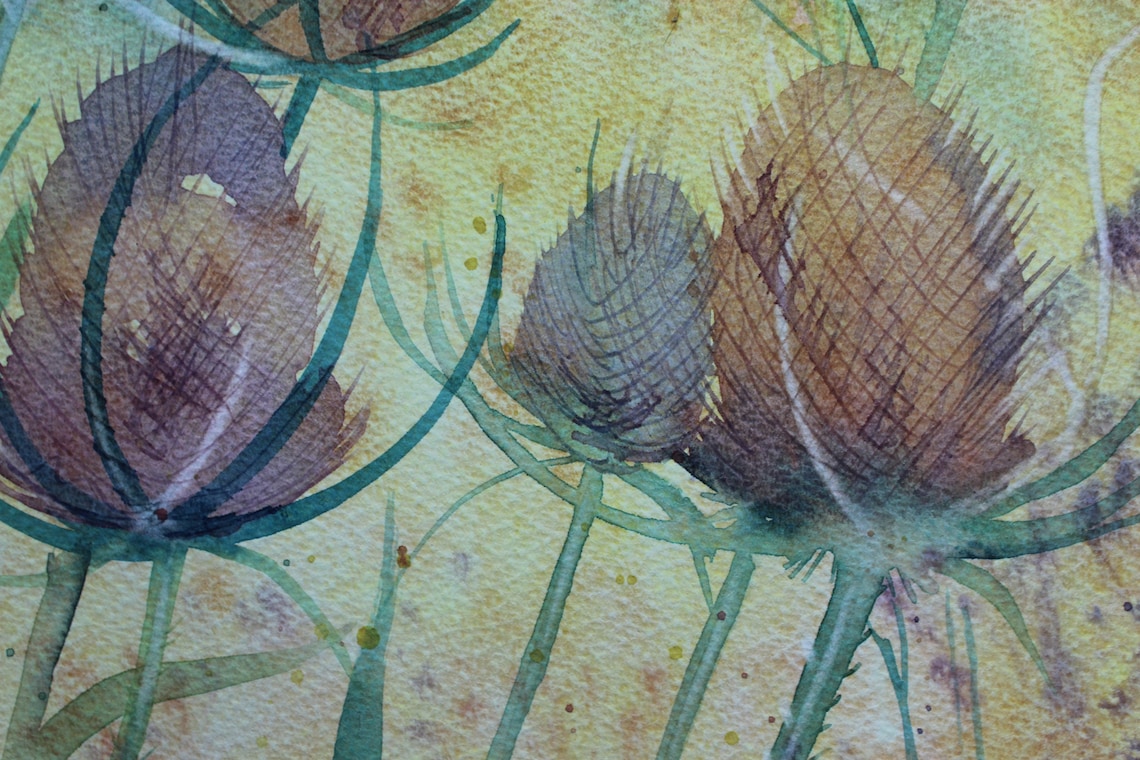 Teasels Teasel Watercolour Watercolour Summer Landscape - Etsy