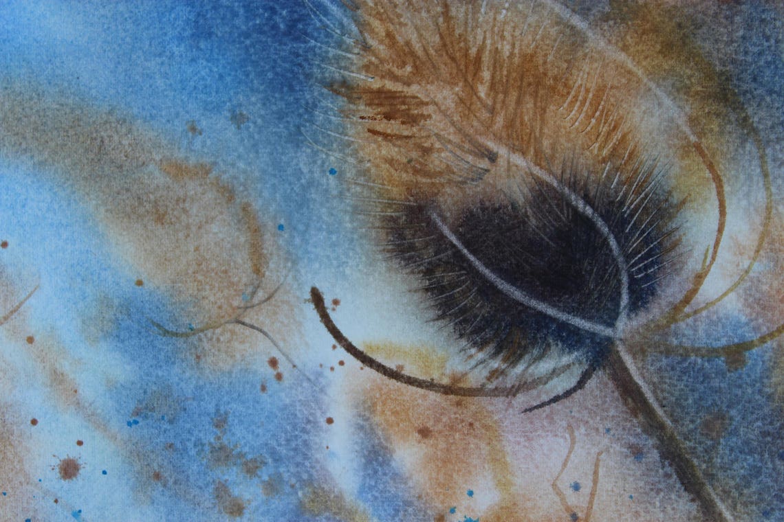 Original Watercolour of Teasels Seed Head Dipsacus Teazel | Etsy