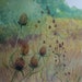 Original Watercolour of Teasels, Seed Head, Dipsacus, Teazel, Teazle ...