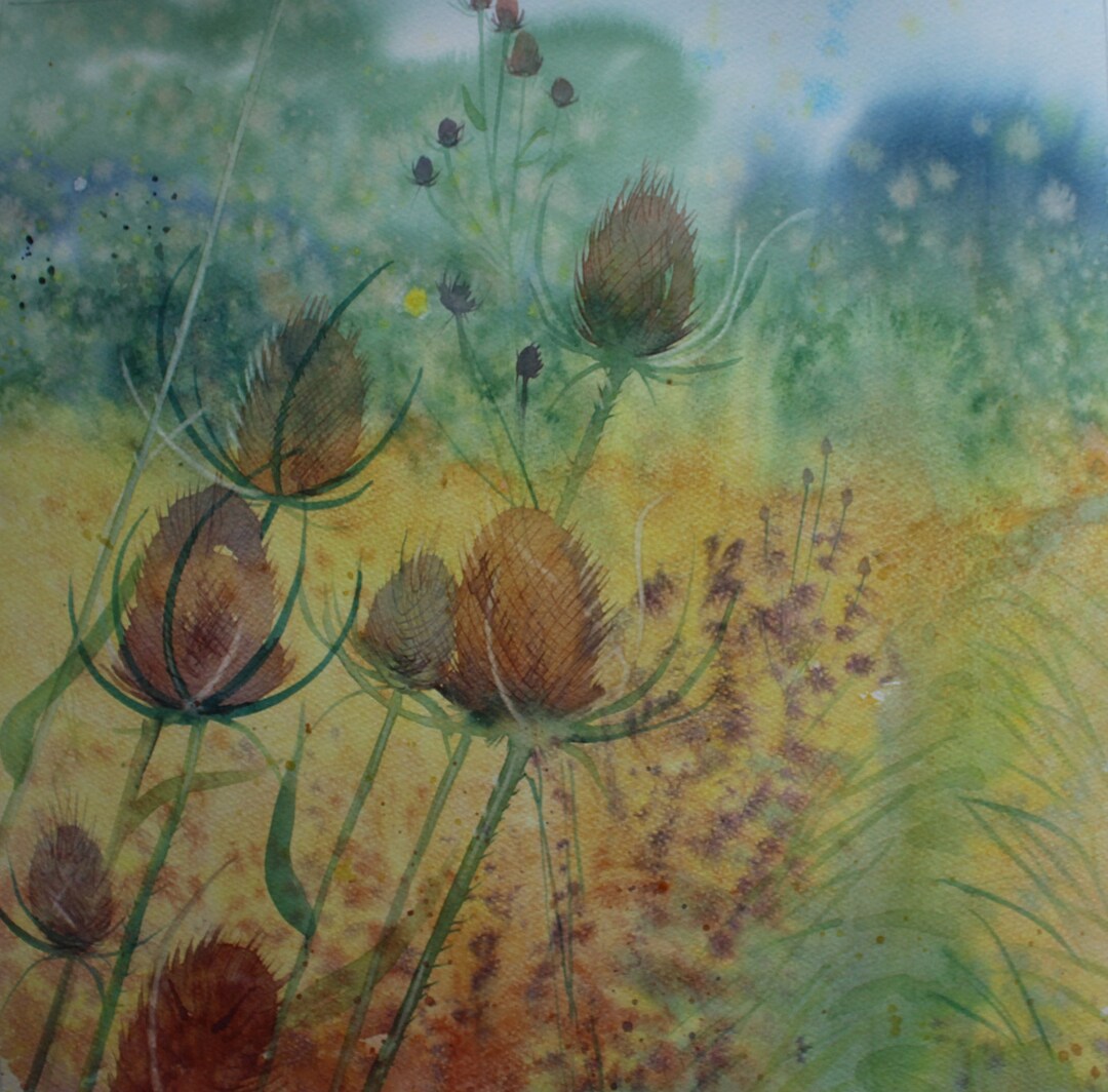 Teasels, Teasel Watercolour, Watercolour Summer Landscape, Wild Flowers ...