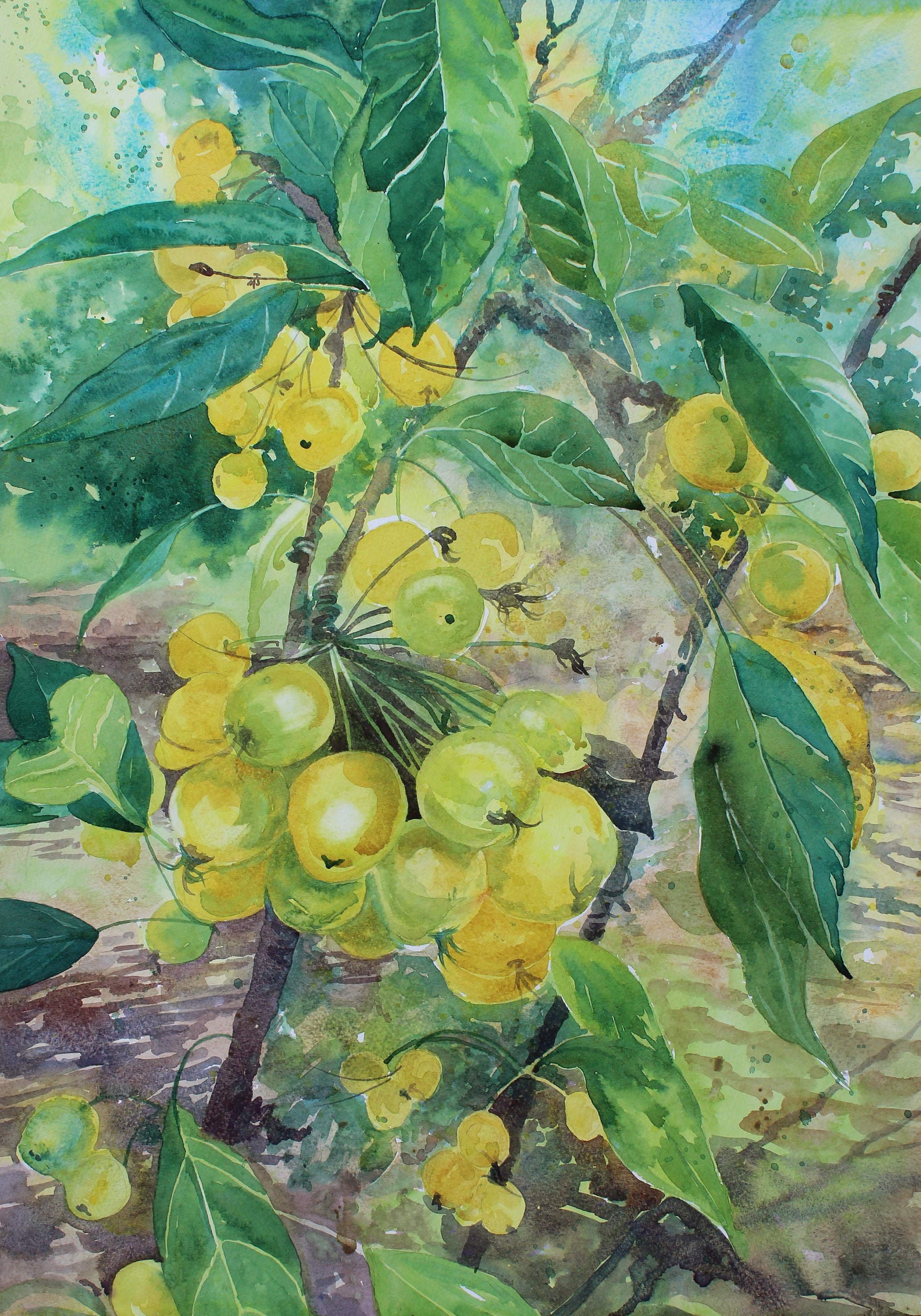 Apple Tree Watercolour Autumn Fruits Watercolor Painting - Etsy UK
