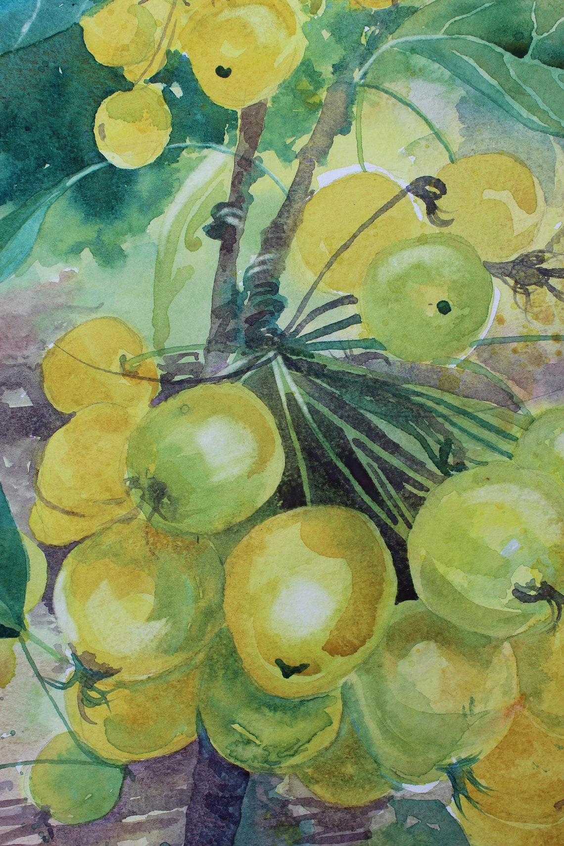 Apple Tree Watercolour Autumn Fruits Watercolor Painting - Etsy UK