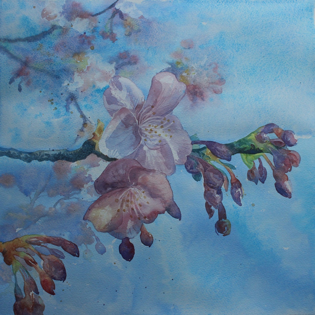 Cherry Blossom Watercolour, Cherry Tree, Spring Flower Painting, Spring ...
