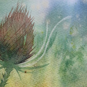 Teasels, Teasel Watercolour, Watercolour Summer Landscape, Wild Flowers ...