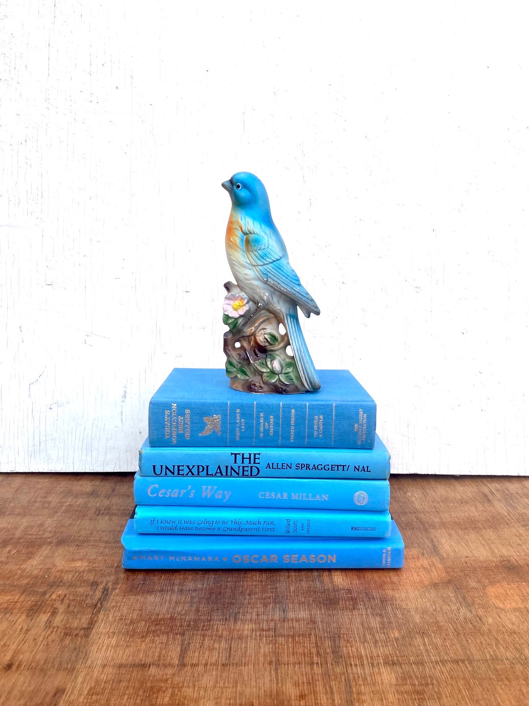 Modern Pastel Blue Book Stack. Light Blue Books Blue Book Stack Pastel Blue Book Lot Beach Ocean ...